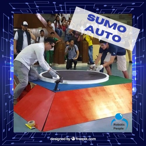 ¿Qué es un robot sumo?